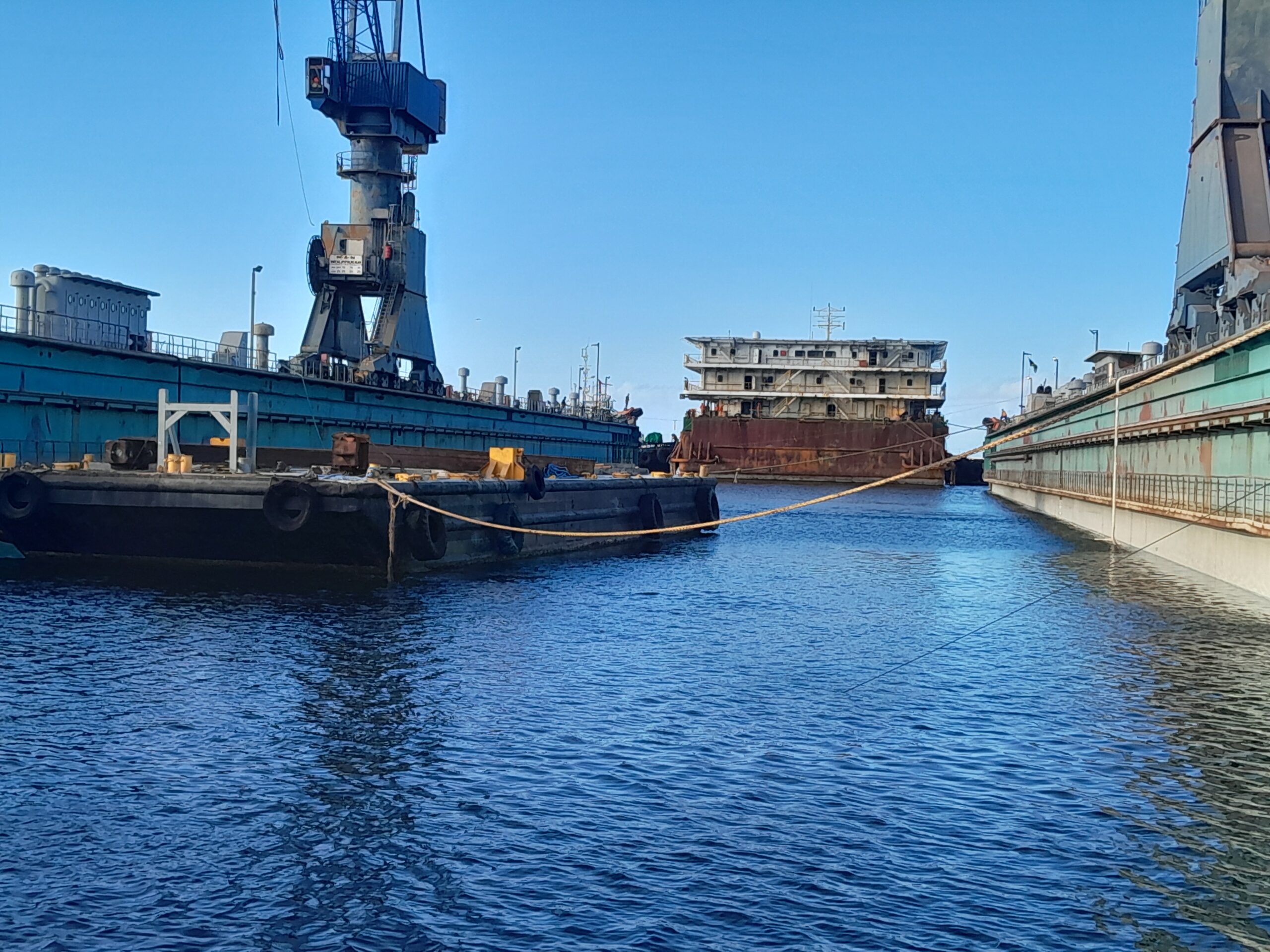 Vikrant Dolphin - German Ship Repair Jamaica Limited